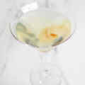 Lychee Martini - Elevate your martini cocktail experience