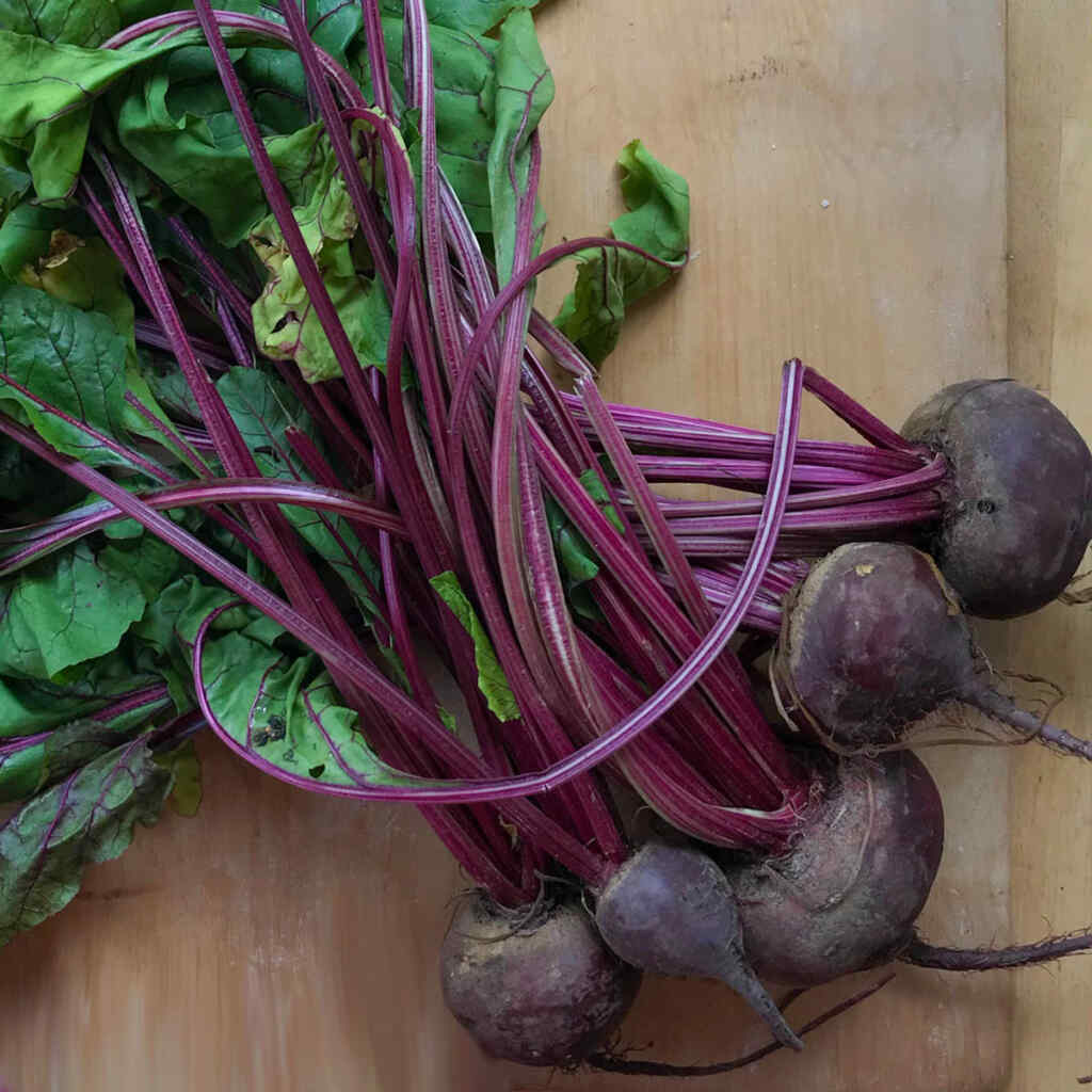 What's In Season In October - Celebrating Autumn's Harvest