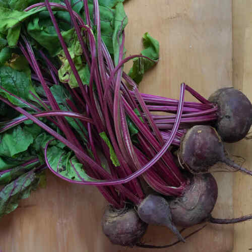 Ce qui est de saison en décembre - Produits de saison en décembre