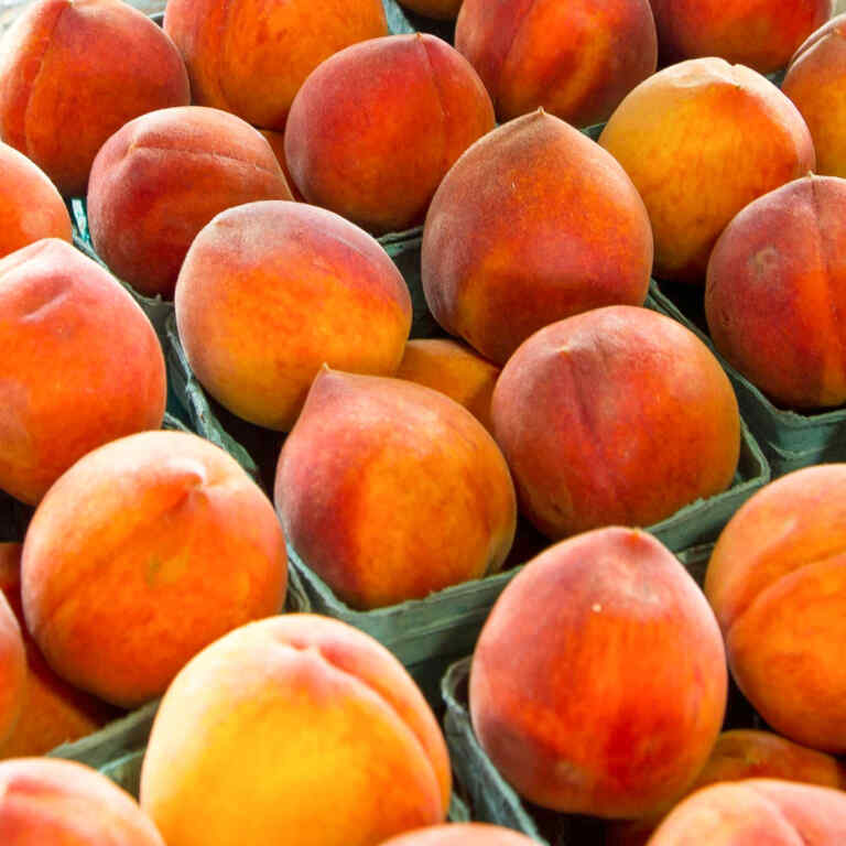 What's In Season In July - Fresh delicious produce for July