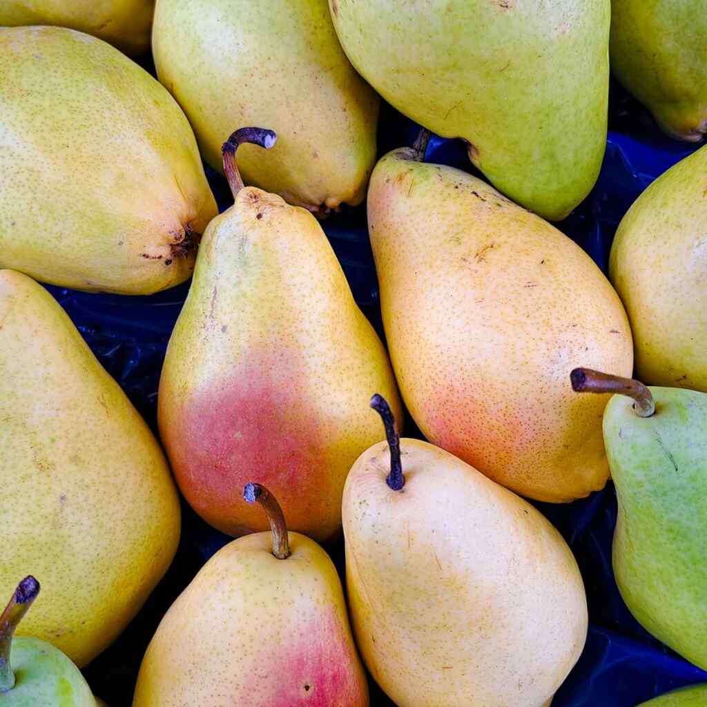 What's In Season In September - Embracing the Autumn Harvest