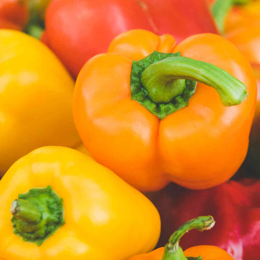 What's In Season In September - Embracing the Autumn Harvest