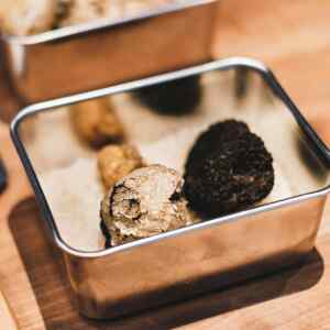 What is a Truffle? - Truffles Unearthed and Explained