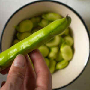 O que são favas? Receitas, história e insights sobre saúde